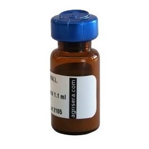 Secondary Antibodies / Anti-Goat