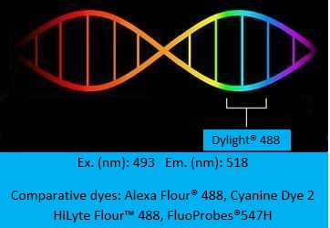 Secondary Antibodies / Anti-Chicken / Anti-Chicken Fluorescent / Anti ...